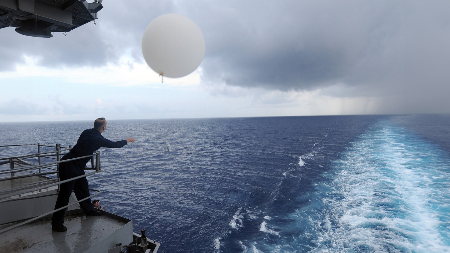 Weather forecasting is deadly for marine wildlife | Popular Science