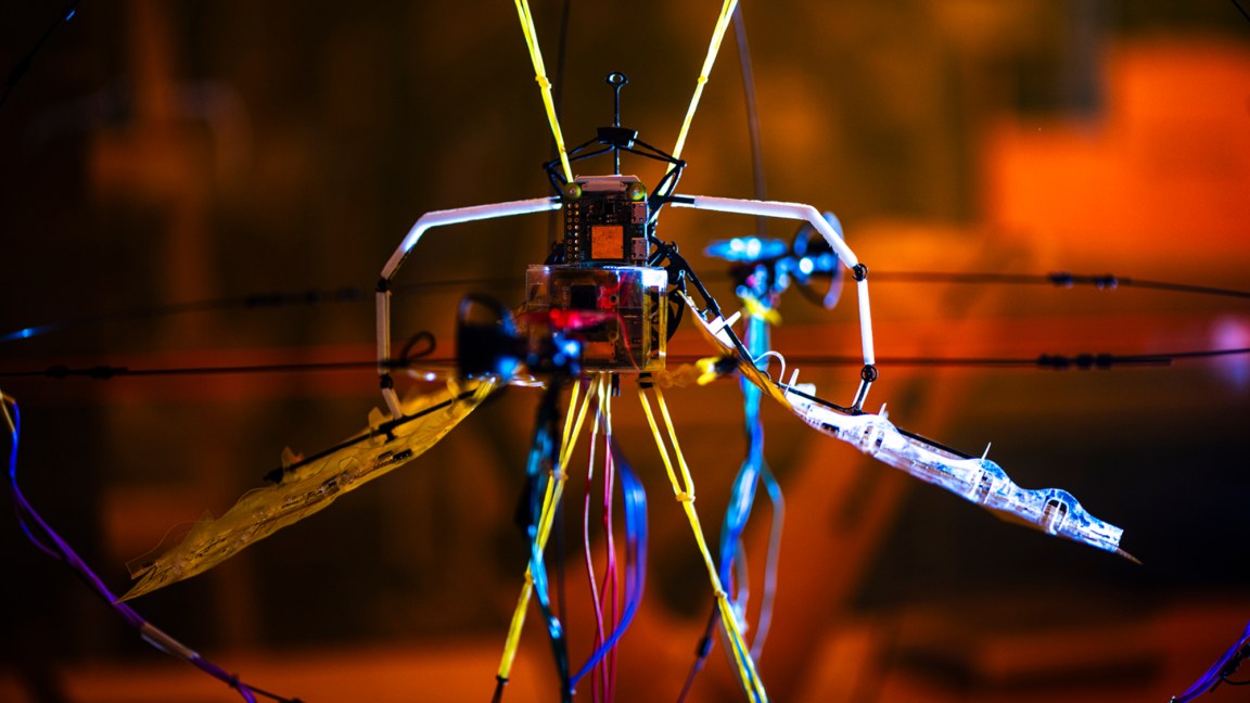 Bats' weird wings inspired this drone | Popular Science