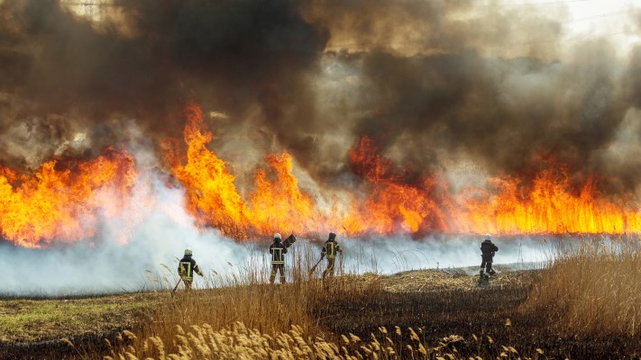 Why wildfires started by human activities can be more destructive and ...