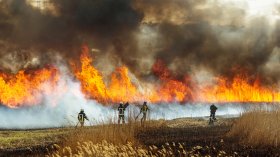 Why wildfires started by human activities can be more destructive and ...