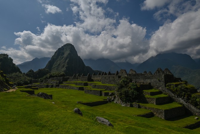 Without humans, what would happen to Earth? | Popular Science