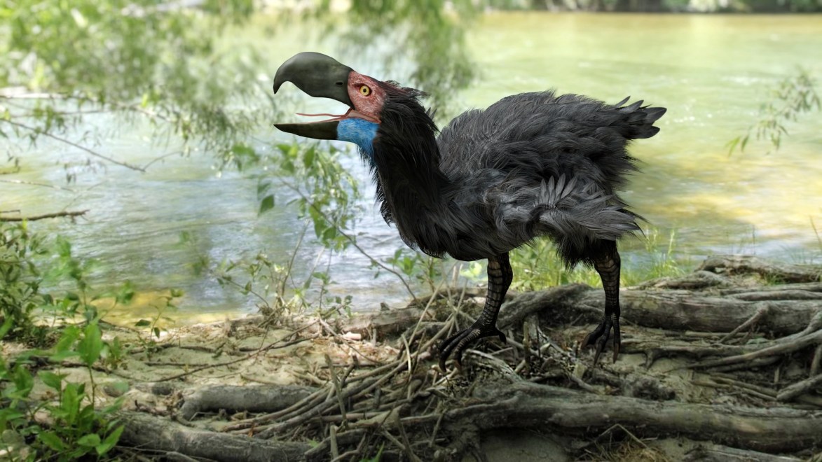 Meat-eating terror birds could grow up to 12 feet tall | Popular Science
