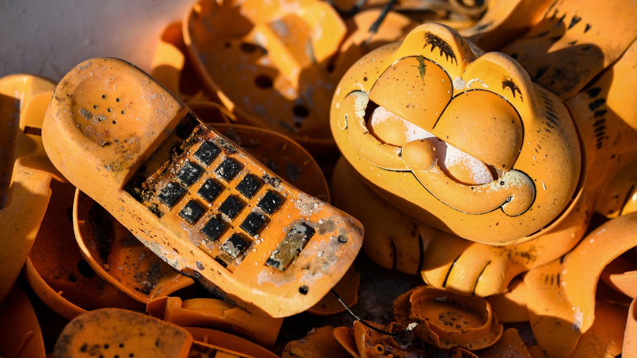 6 of the weirdest things to ever wash up on the beach | Popular Science