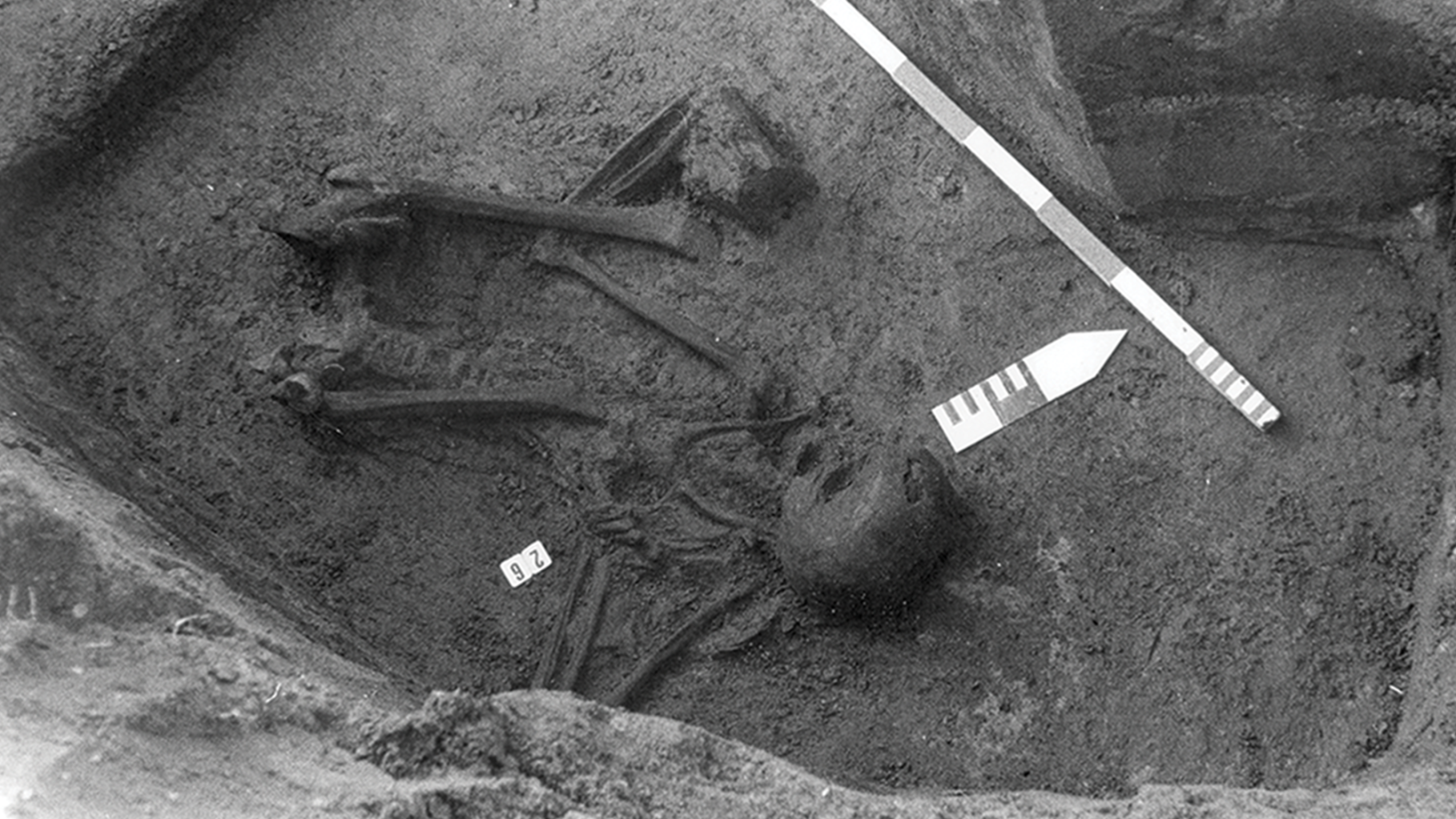 This ancient skeleton turned out to have eight different people in it ...