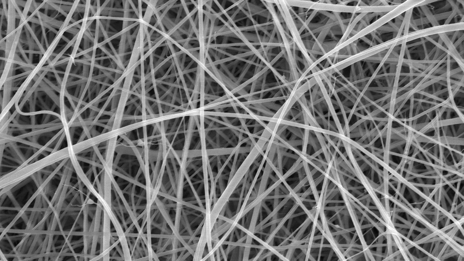 Behold the world’s thinnest spaghetti | Popular Science