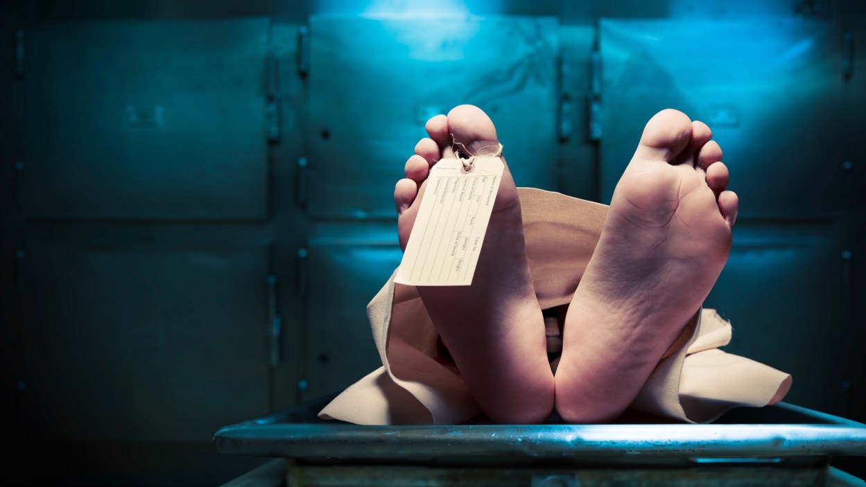 What happens when you donate your body to science? | Popular Science