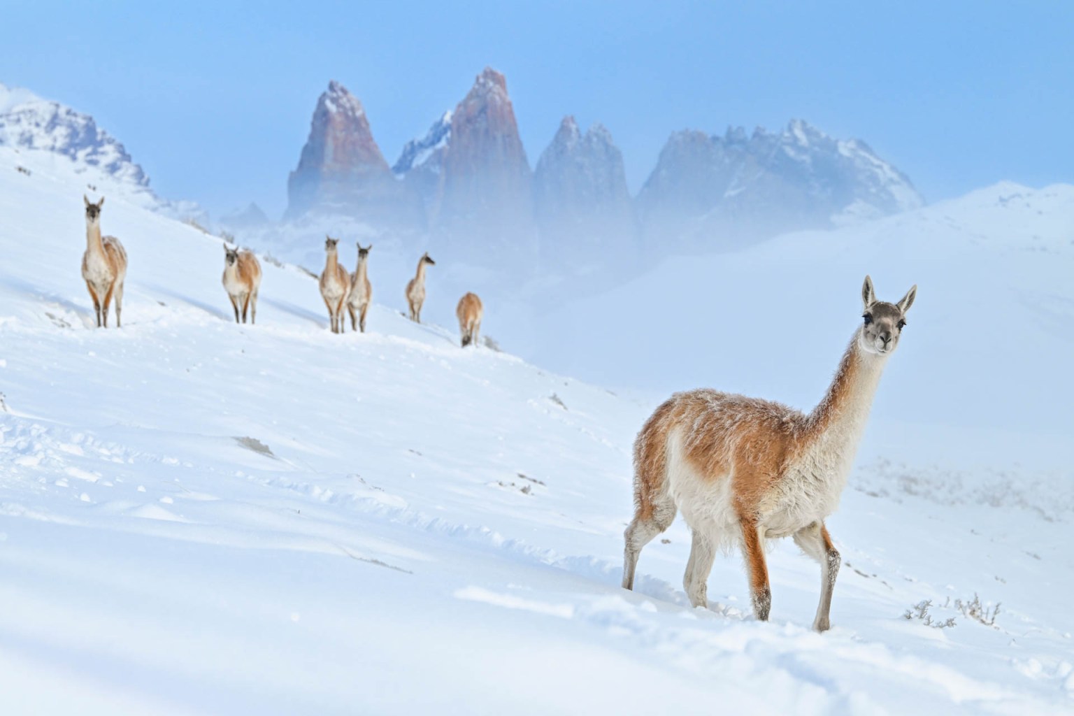 15 marvelous Nature Photographer of the Year 2024 images | Popular Science