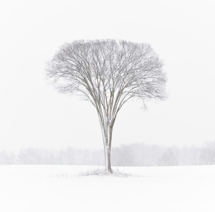 13 jaw-dropping International Landscape Photographer of the Year images ...