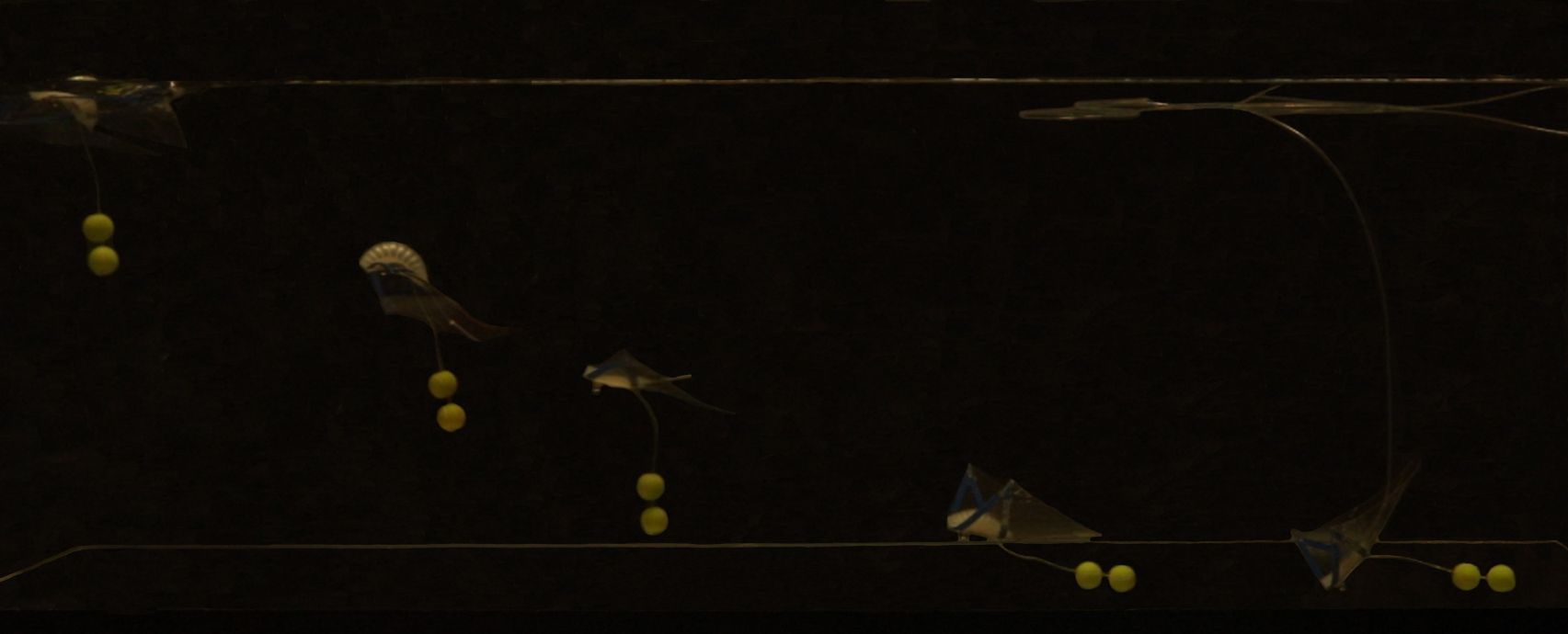 This Manta ray robot is the world's fastest soft-bodied swimmer ...