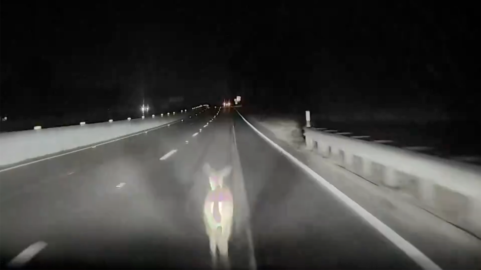 Why are 'driverless' cars still hitting things? | Popular Science