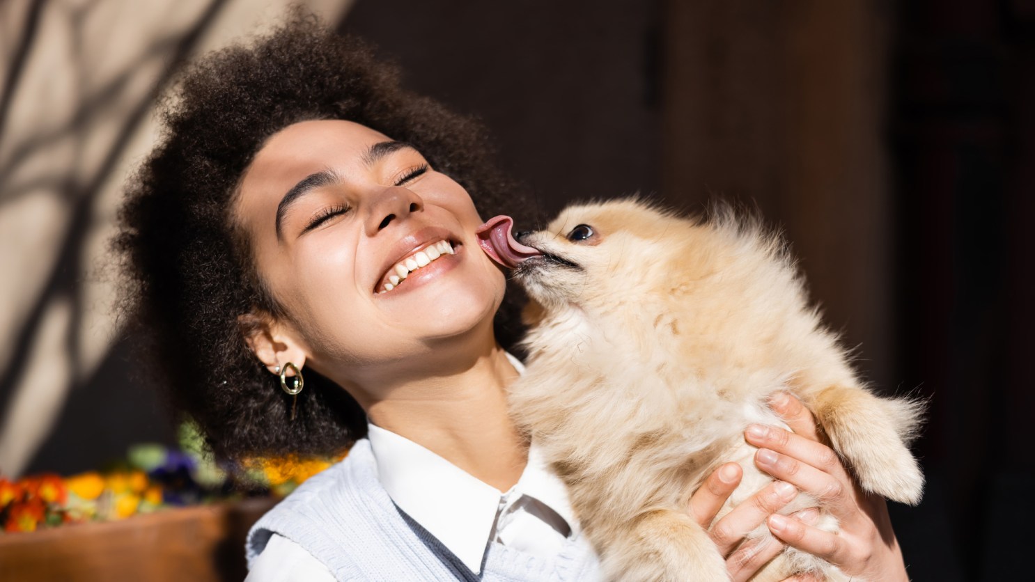 Why do dogs lick humans? It could be a sign of affection. | Popular Science