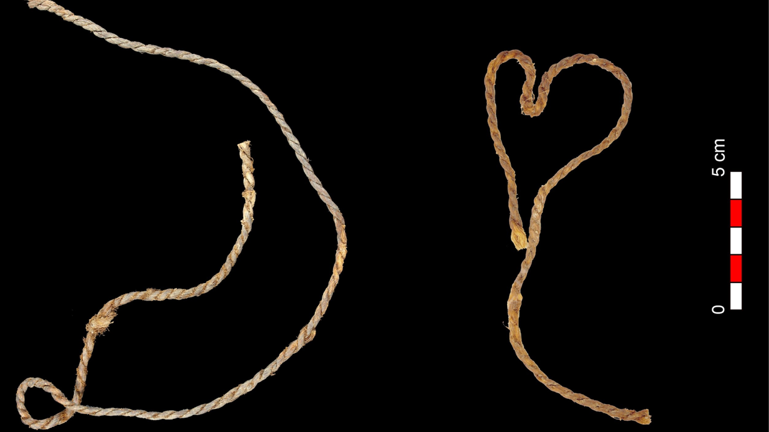 Europe’s oldest known bowstrings found in a cave in Spain | Popular Science