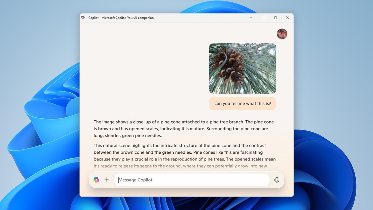 Everything you can do with Microsoft's Copilot AI assistant on Windows ...