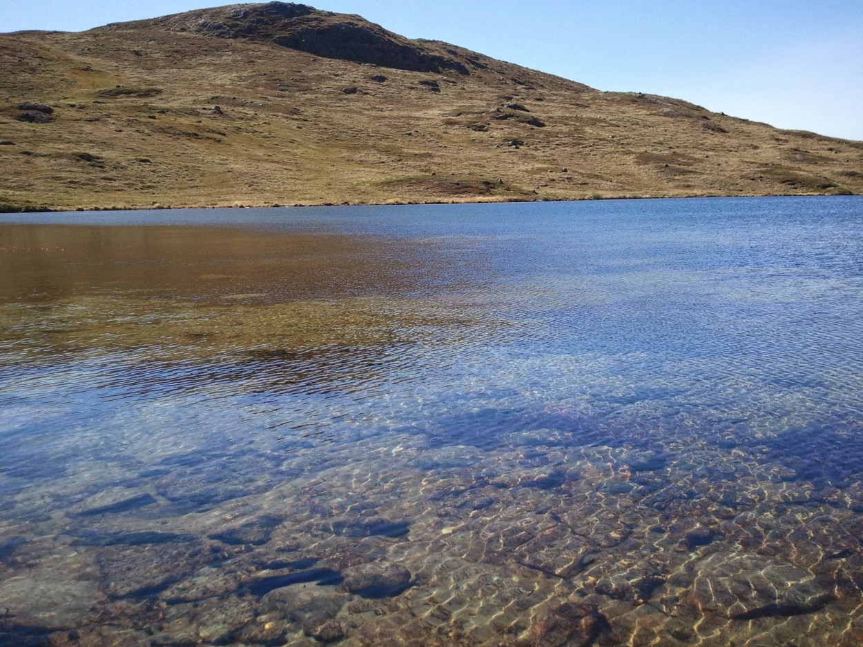 Greenland’s lakes are getting uglier—and fast | Popular Science