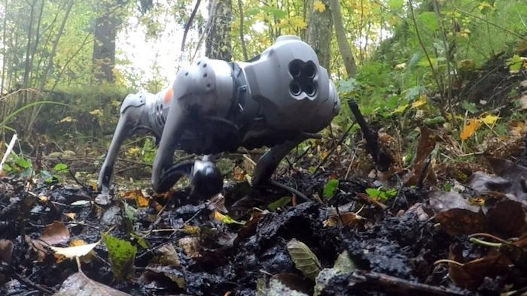 Dog robots can trek through mud using moose-inspired hooves | Popular ...