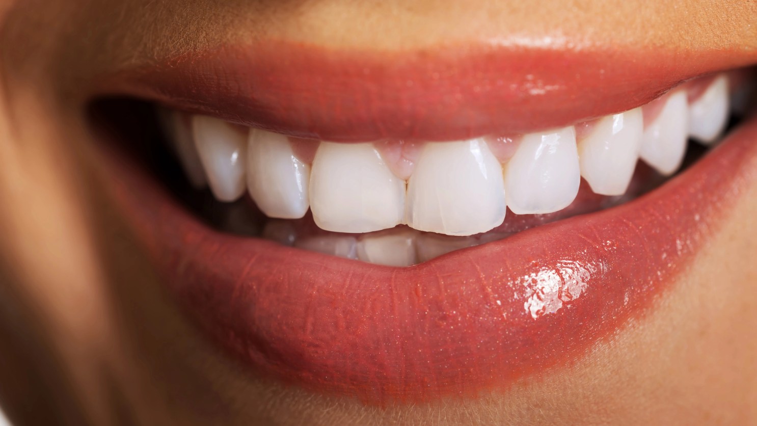 Could we ever regrow our adult teeth? | Popular Science