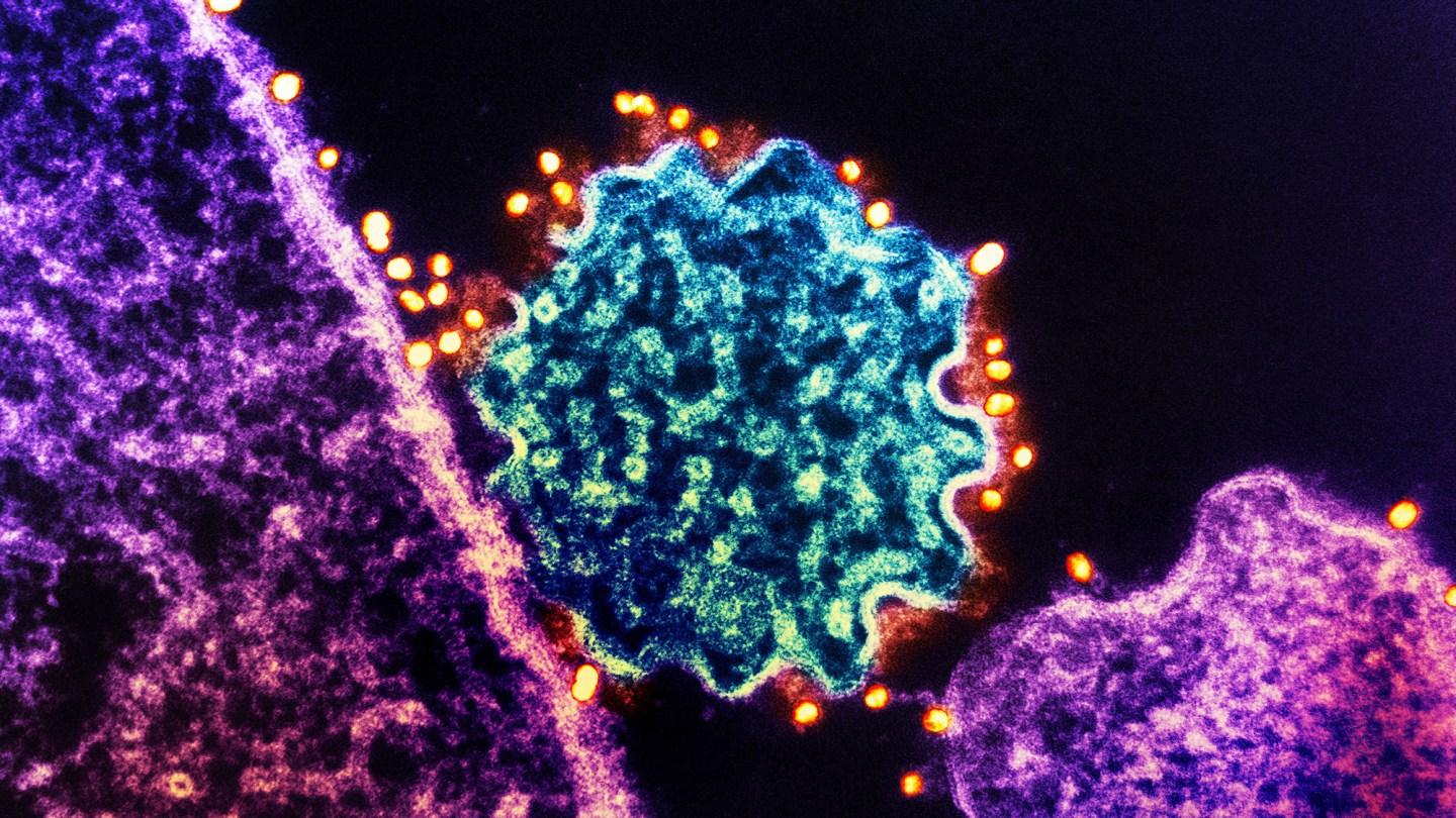 A brief history of Logic Theorist, the first AI | Popular Science