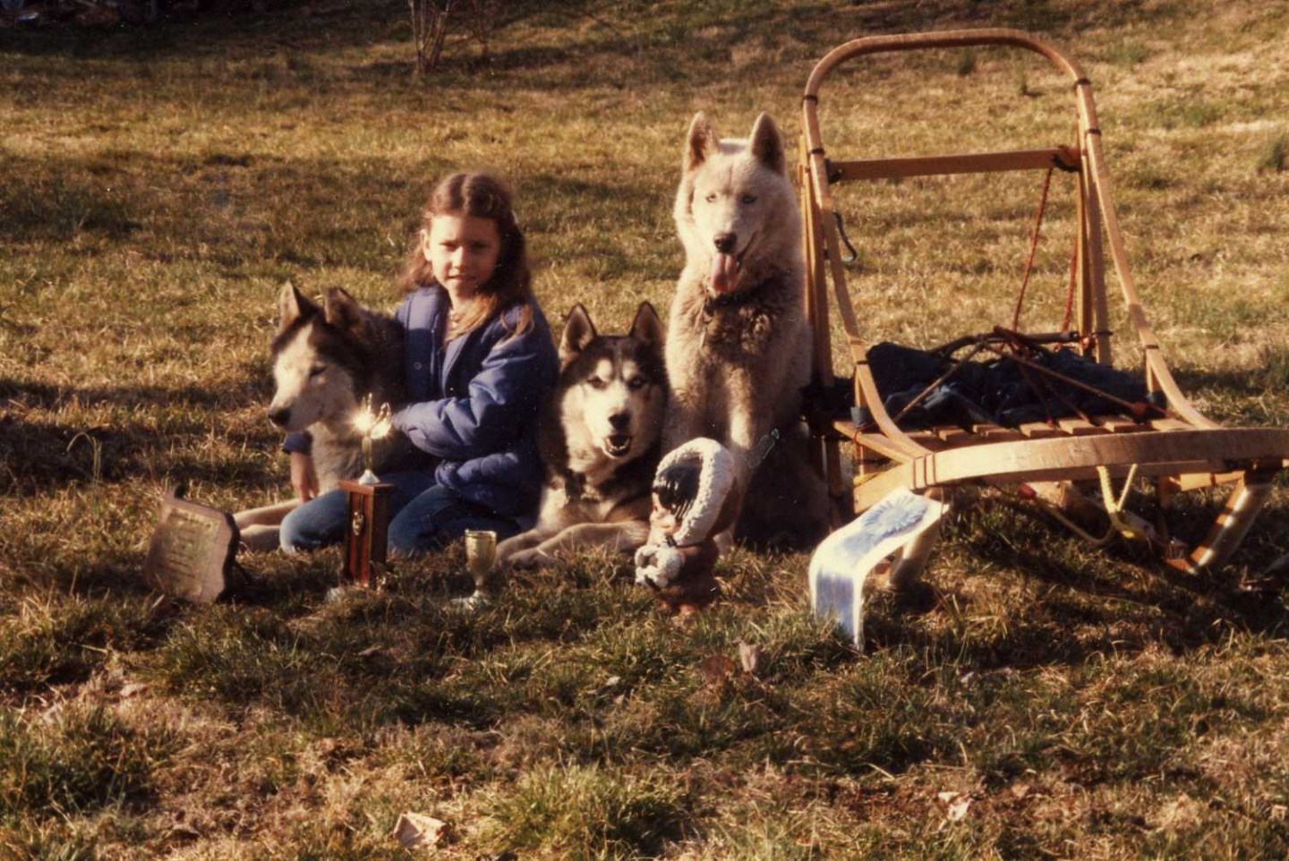 Meet the former musher investigating sled dog genetics | Popular Science