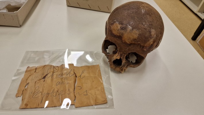 Ancient cone-shaped skull shows signs of fatal trauma | Popular Science