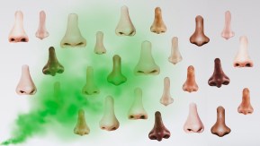 Can bad smells harm you? | Popular Science