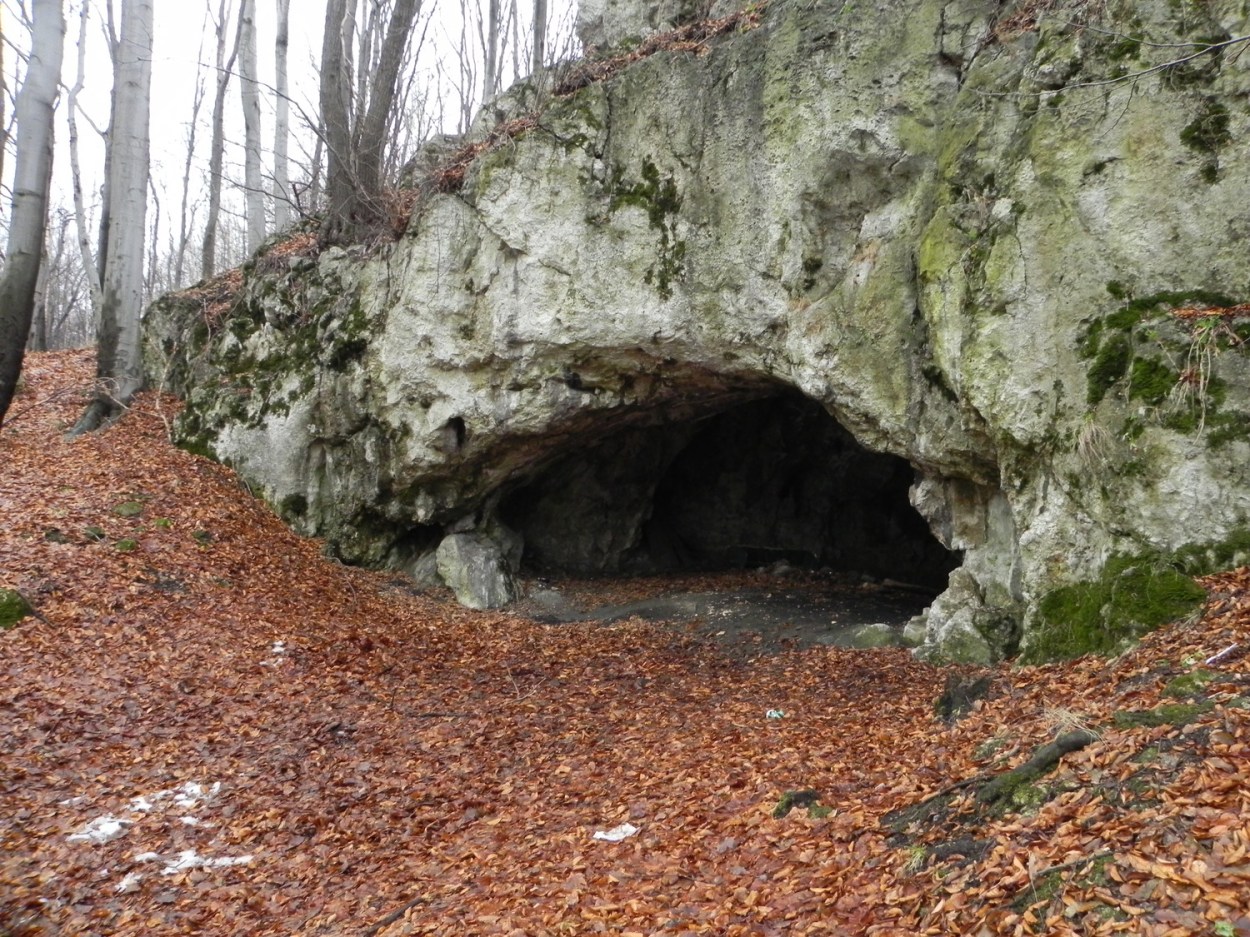Butchered skulls point to Europe's Ice Age cannibals | Popular Science