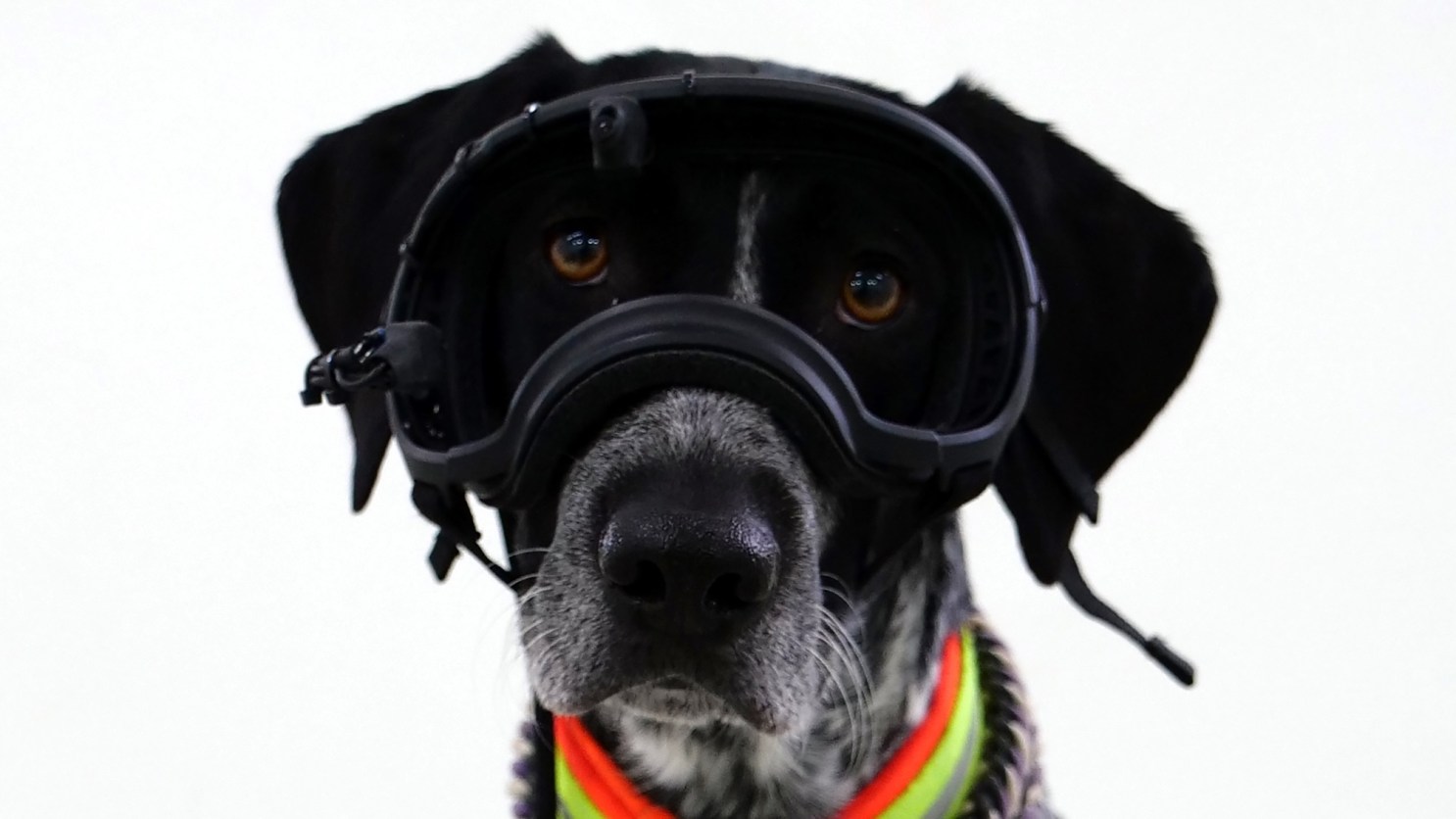 Pegasus spyware used in Azerbaijan-Armenia conflict | Popular Science