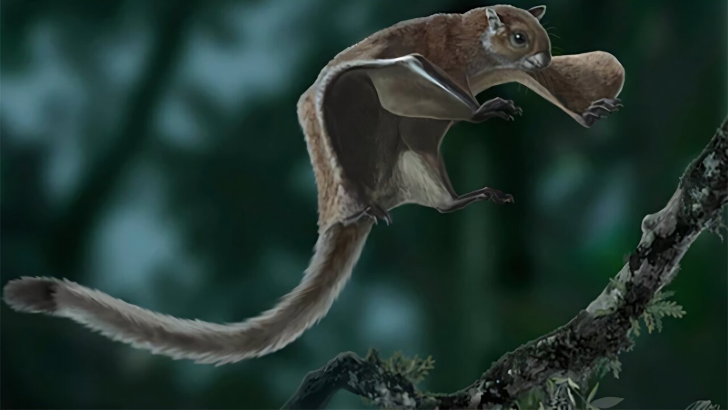 Flying squirrels the size of cats soared over prehistoric Appalachia ...