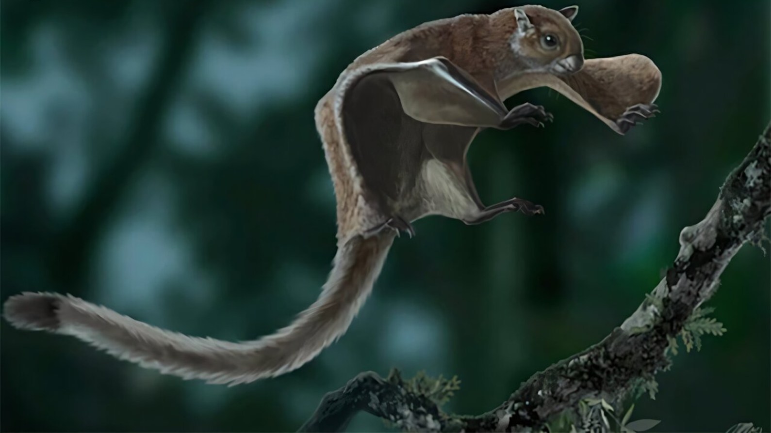 Flying squirrels the size of cats soared over prehistoric Appalachia ...