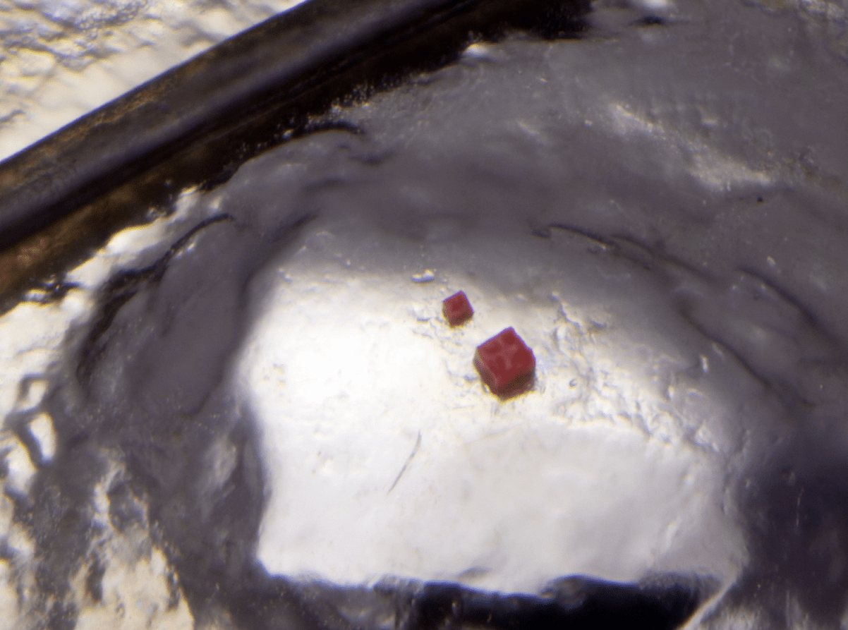 The world’s smallest handmade sculpture is a blood cell-sized Lego ...