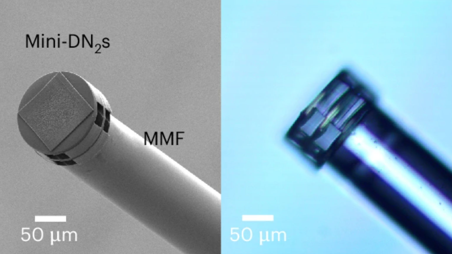 This AI chip is the size of a grain of salt | Popular Science