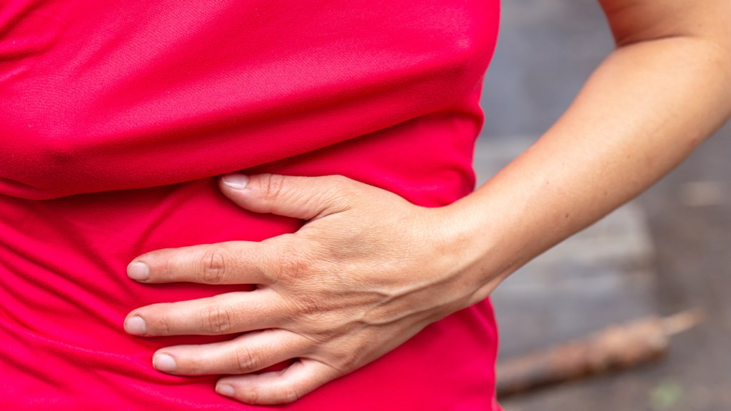 Which body parts do humans not need? | Popular Science