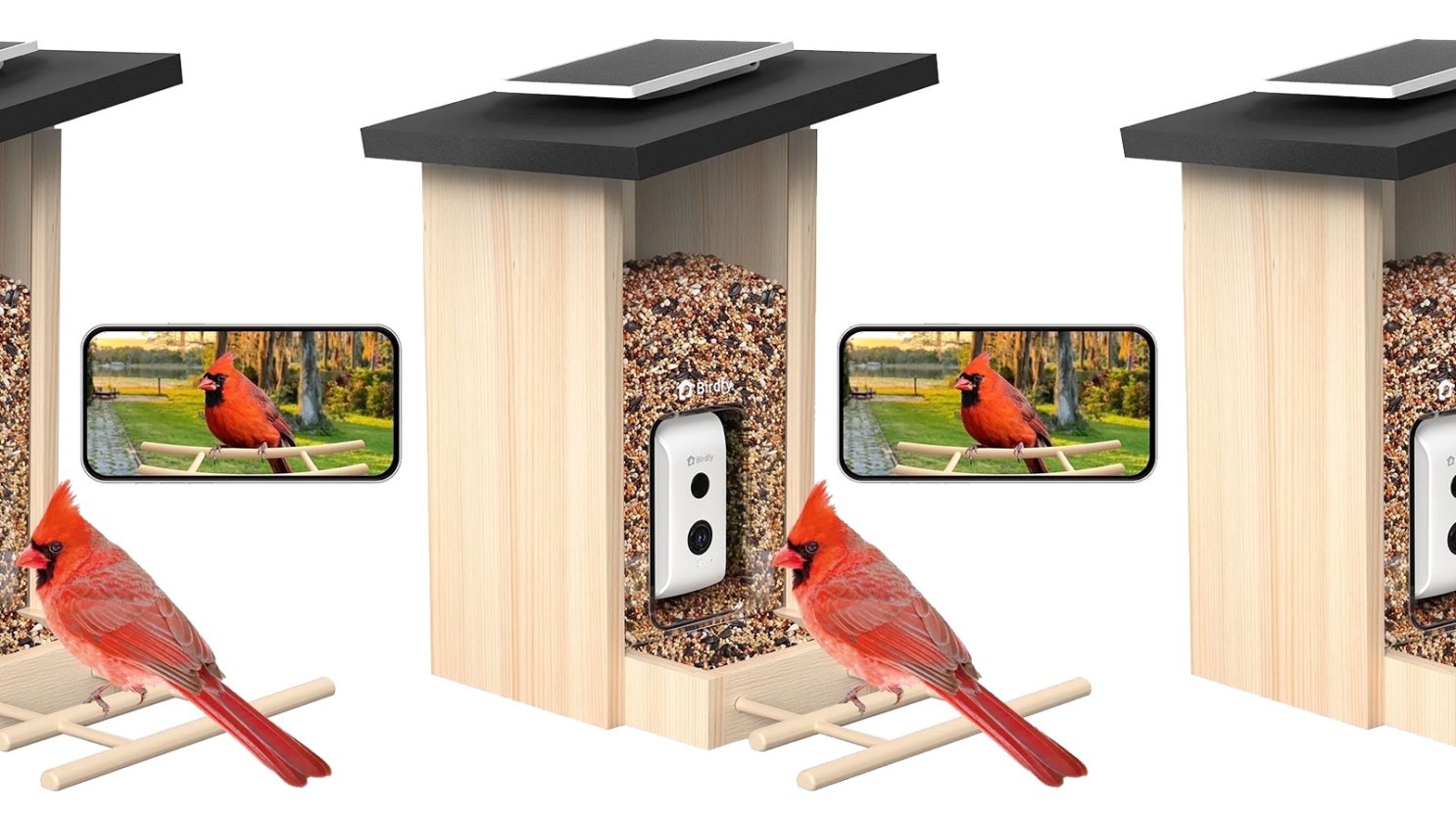 Get the $229 Birdfy Smart Bird Feeder Camera for just $109 before it ...