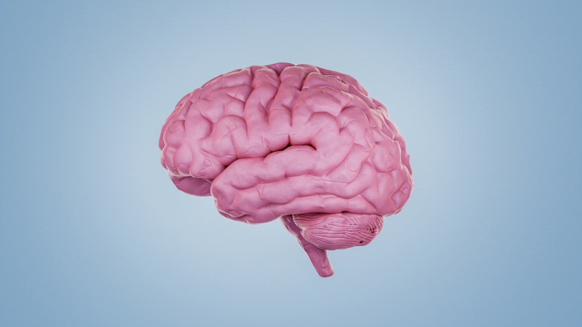 Subtle differences identified in brains of people with schizophrenia ...