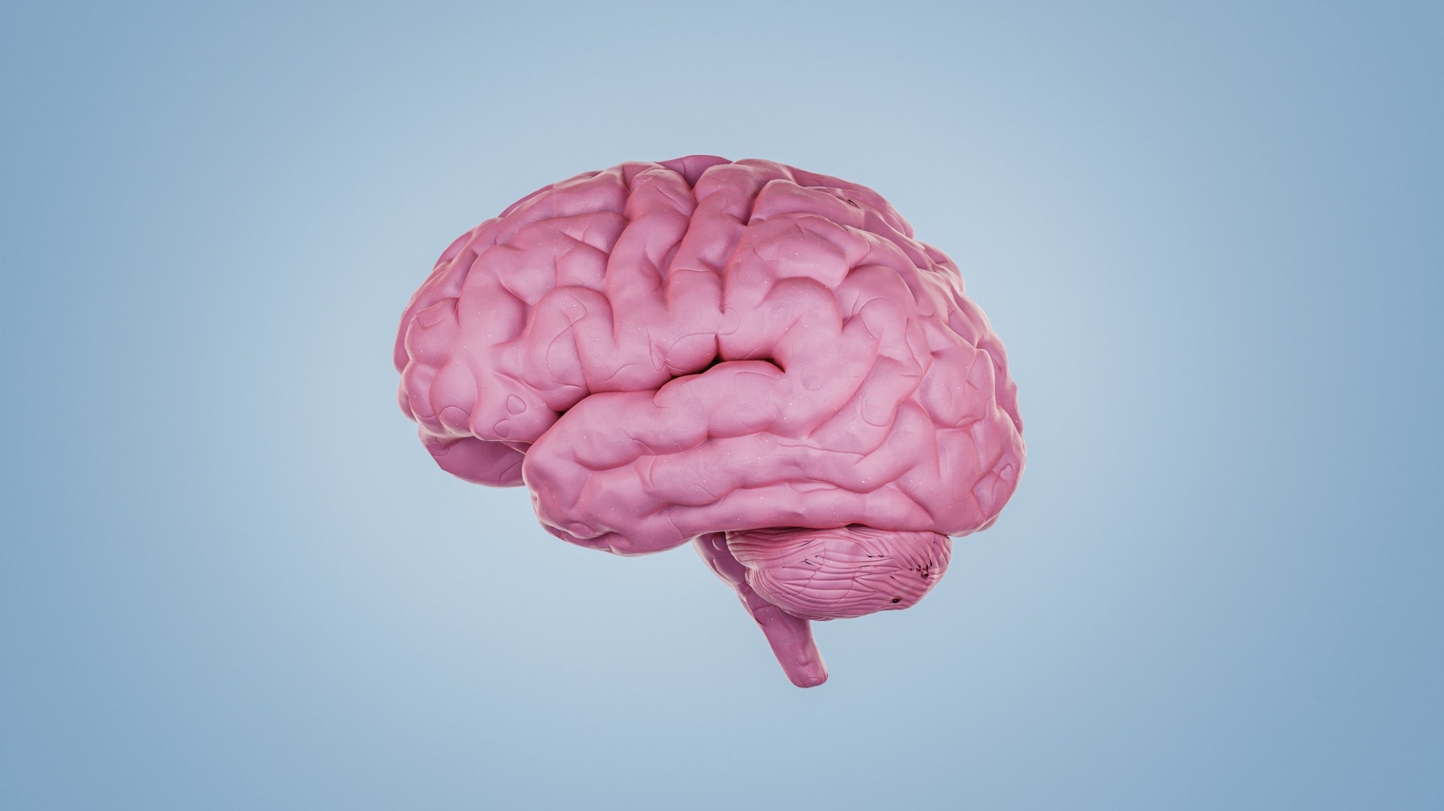 Subtle differences identified in brains of people with schizophrenia ...