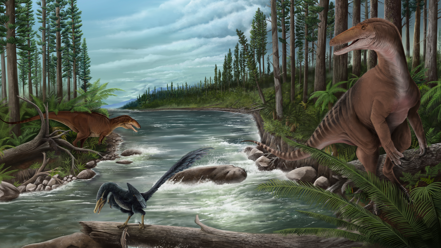 A 20-foot-long ‘mega raptor’ once stalked Australia | Popular Science