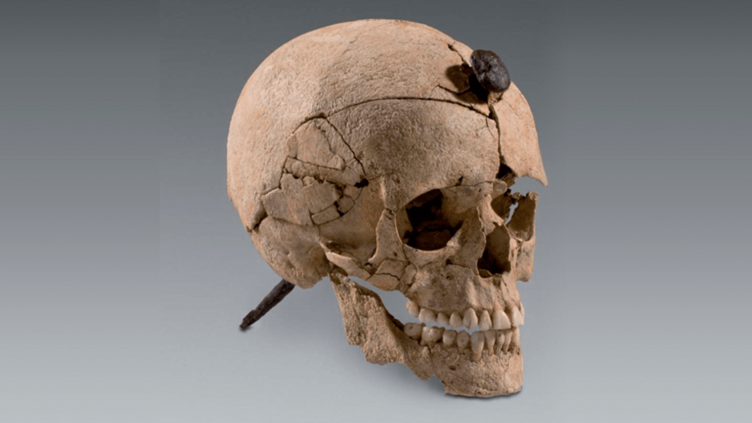 New clues to the 'nailed head ritual' uncovered in Spain | Popular Science