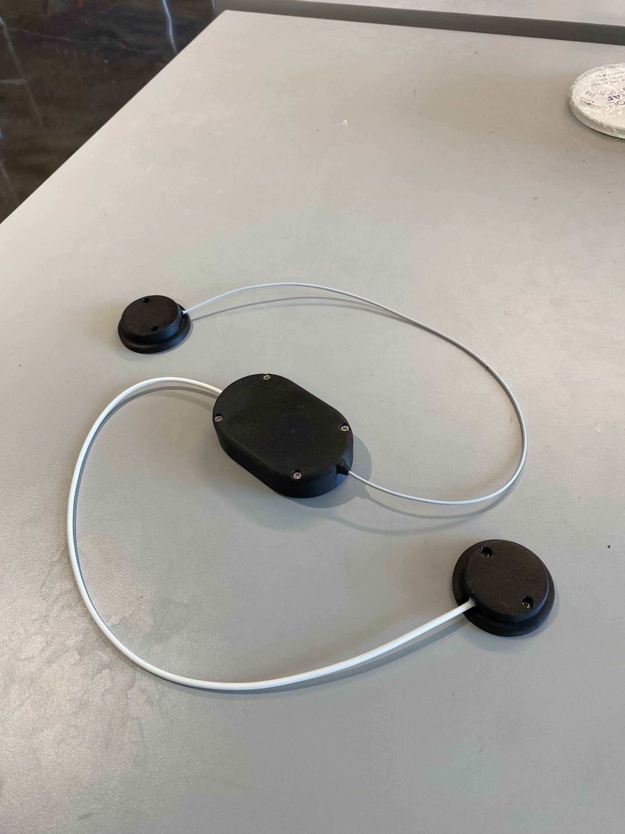 Baby seals are wearing heart monitors–for science | Popular Science