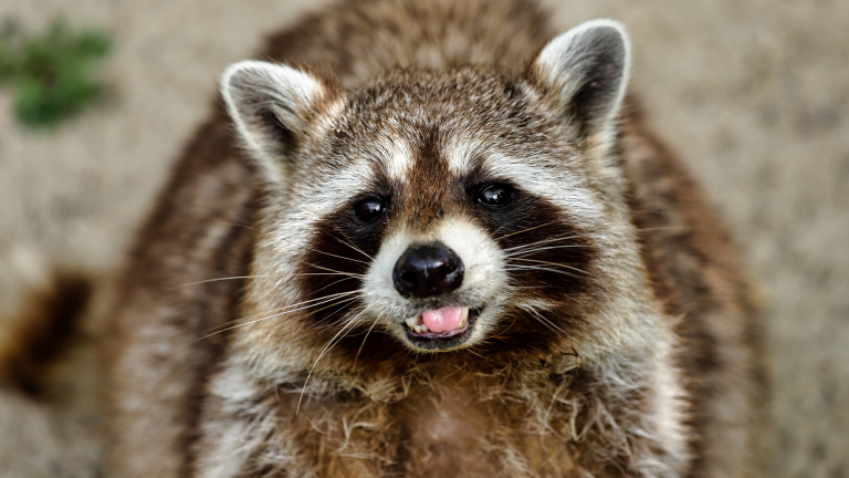 Science Articles, Scientific Current Events | Popular Science