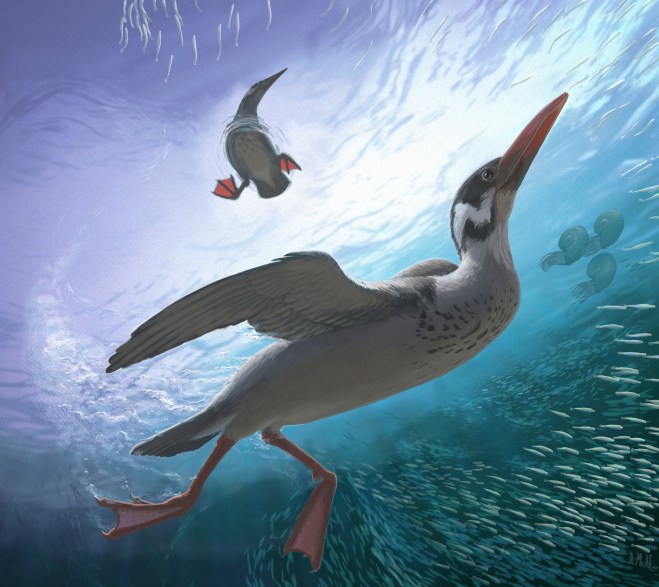 After the asteroid, the earliest bird ancestors thrived in Antarctica ...