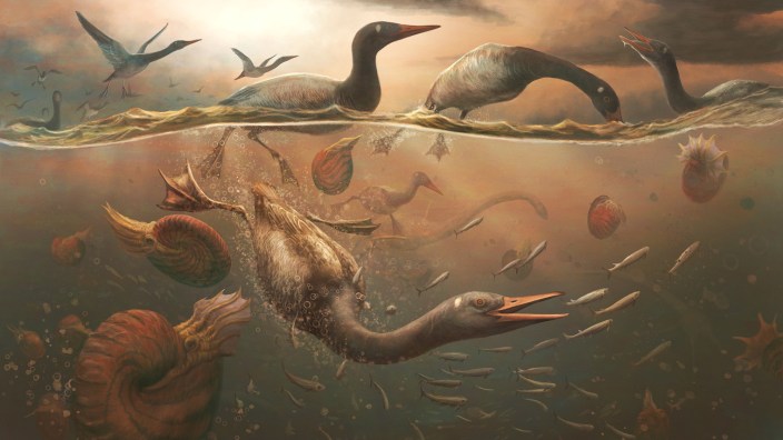 After the asteroid, the earliest bird ancestors thrived in Antarctica ...