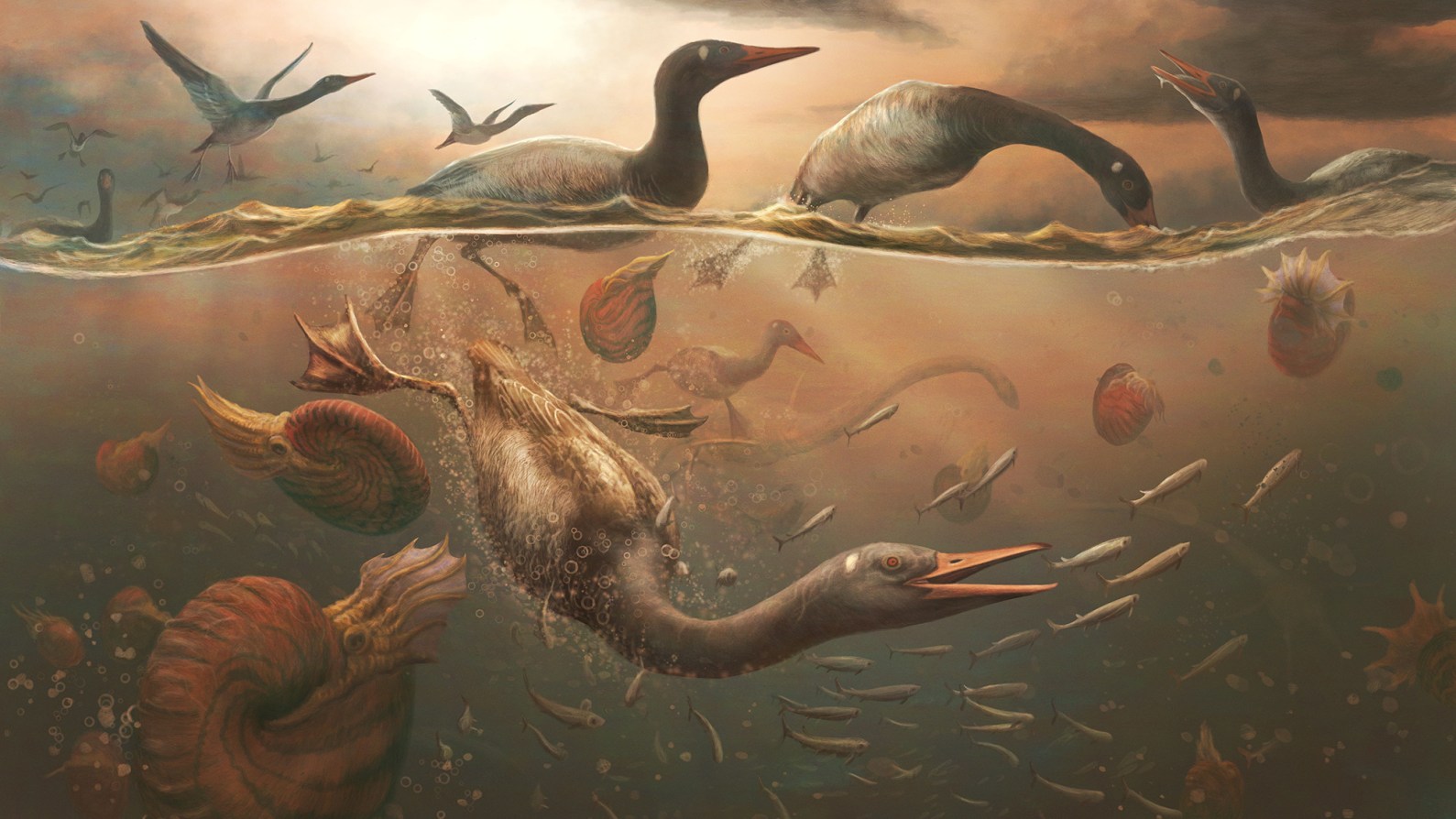 After the asteroid, the earliest bird ancestors thrived in Antarctica ...