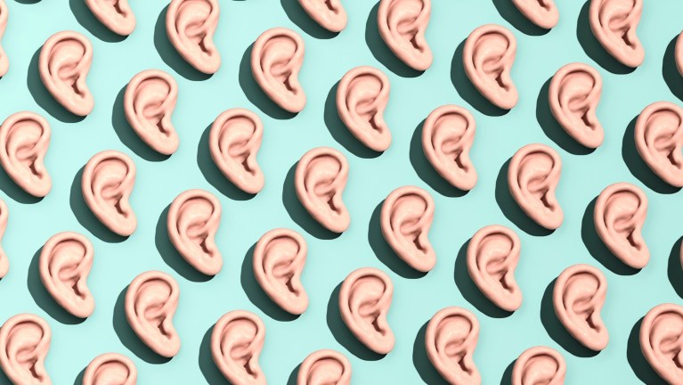 Why can some people wiggle their ears? | Popular Science