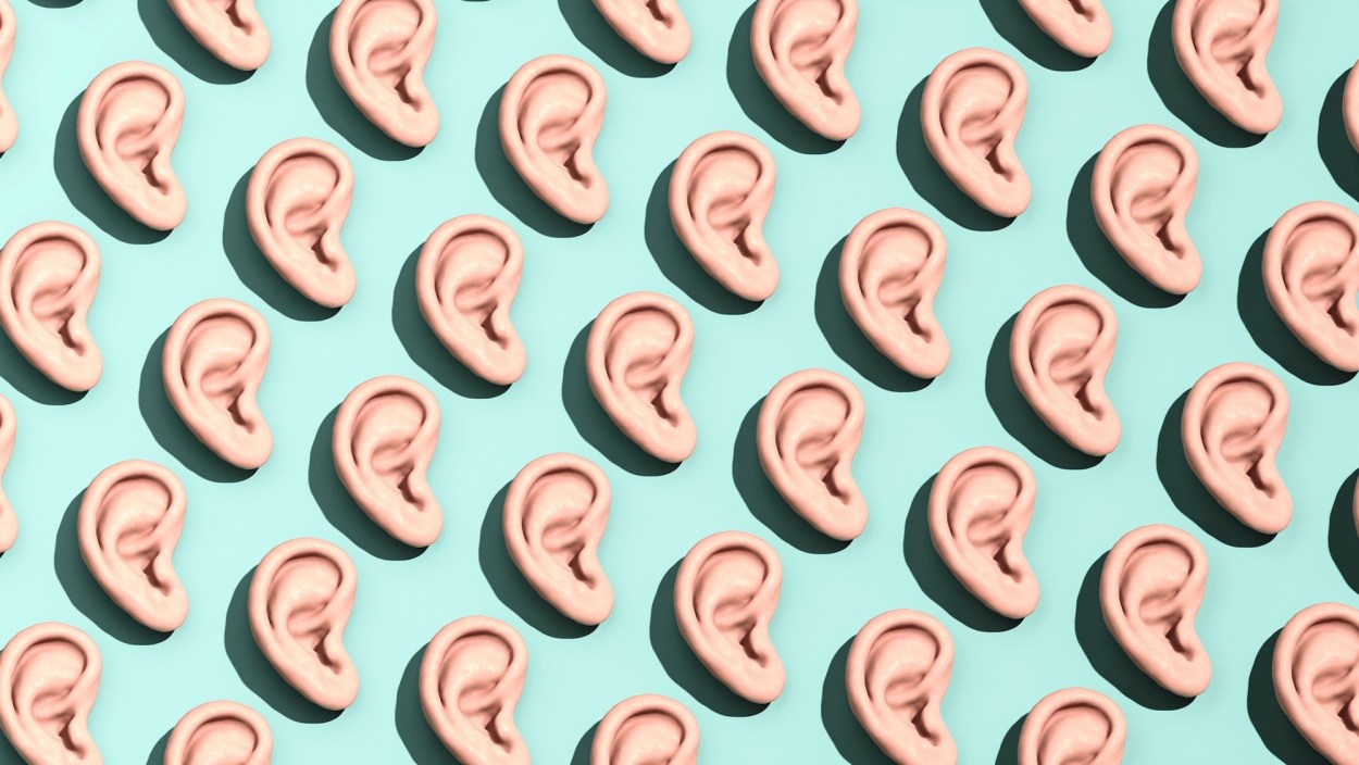 Why can some people wiggle their ears? | Popular Science