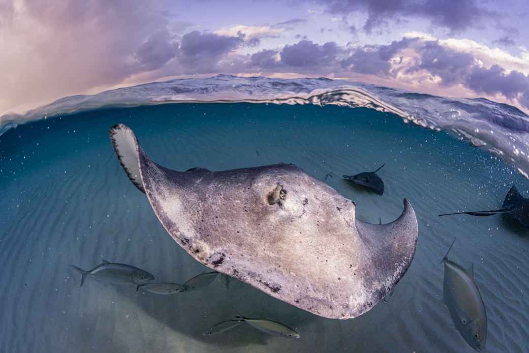 15 breathtaking images from the Nature Photography Awards | Popular Science