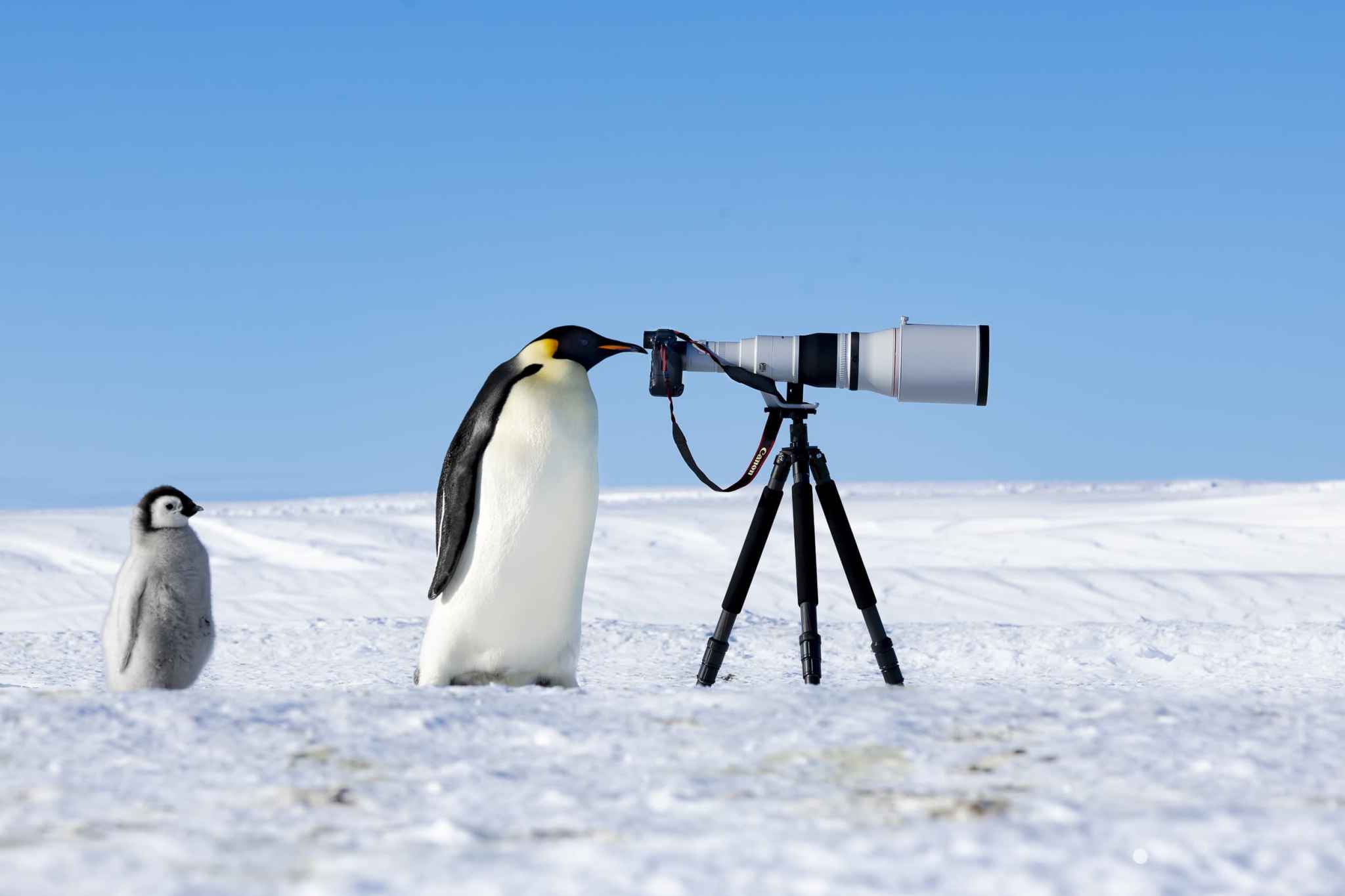 15 breathtaking images from the Nature Photography Awards | Popular Science