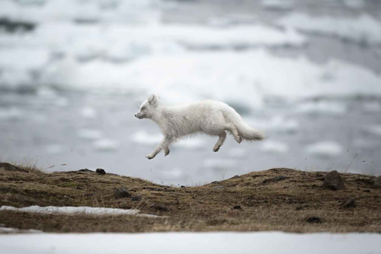 15 breathtaking images from the Nature Photography Awards | Popular Science