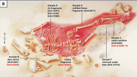 Burpees are hard to define, and that's what makes them good