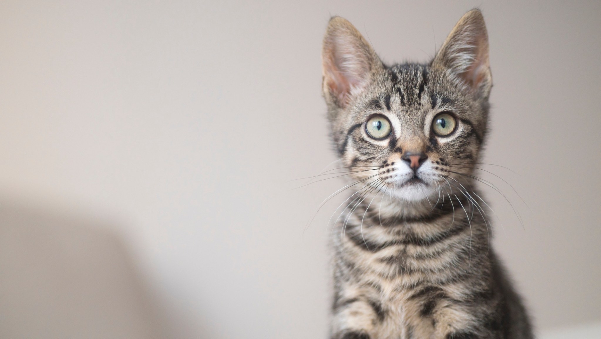 The quadruple axel is the hardest figure skating jump | Popular Science