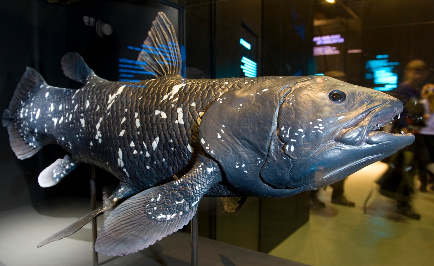 Earth's 5 catastrophic mass extinctions, explained | Popular Science