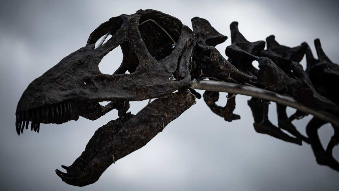 Earth's 5 catastrophic mass extinctions, explained | Popular Science